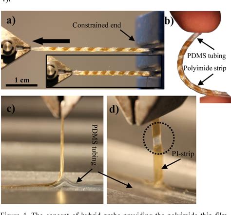 Figure 2 From Hybrid Multimodal Deep Brain Probe Dbs Array For Advanced Brain Research