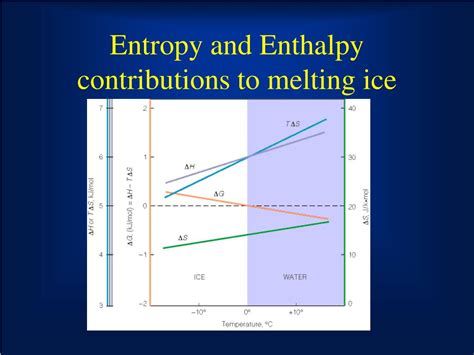 Ppt Environmental Cycles Of Metabolism Powerpoint Presentation Free