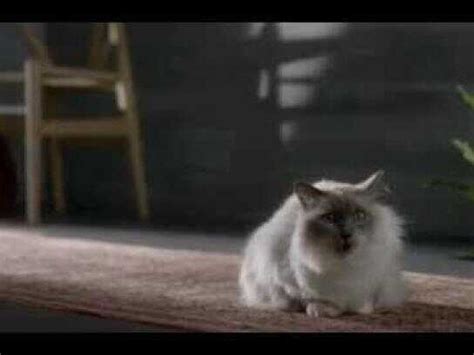 Cisco Secure Freeze Ads Of The World Part Of The Clio Network