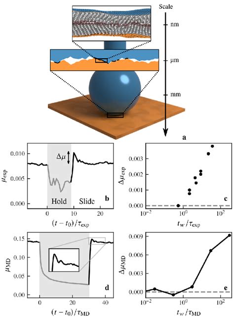 Transient Friction Behavior Of Stearic Acid Monolayers A Schematic
