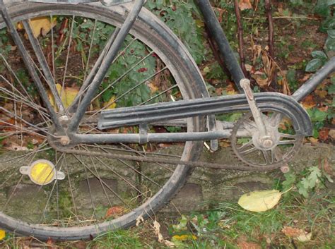 Proiect Bicicleta Lui Tata Carpa I Flota Marius Cruceru