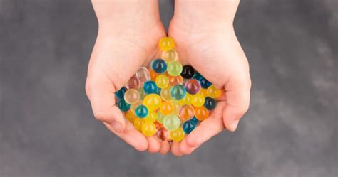 What Is An Orbeez For Plants How To Use Orbeez In Plants