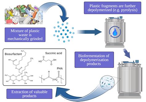 Theoretical Bioremediation Treatment Of Plastic Waste Biorender