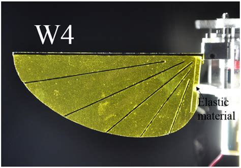 Aerospace Free Full Text Bio Inspired Flexible Flapping Wings With Elastic Deformation
