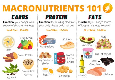 What Are Food Nutrients With Examples At Joseph Graves Blog