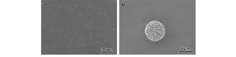 sem micrographs showing the microstructure of the as cast alloy a and