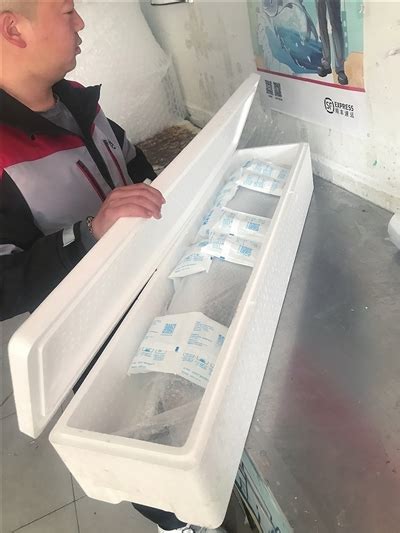 新鲅鱼才上岸又上飞机，青岛“鲅鱼快递”直通全国各地餐桌 青报网 青岛日报官网