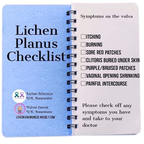 Vulval Lichen Planus Erosive Lichen Planus Lichen Sclerosus Vulval Cancer UK Awareness