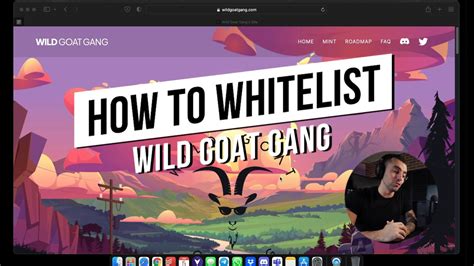 How To Whitelist YouTube