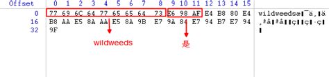 c 实现读取多种编码格式文本文件 c 获取字符串编码格式 csdn博客