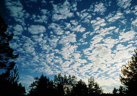 Cirrocumulus Clouds Forming A Mackerel Sky Photograph By Pekka