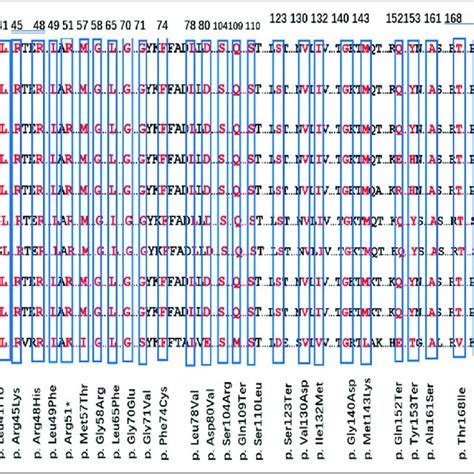 The Conserved Analysis Of HPRT Gene HPRT Mutation Spectrum Variant