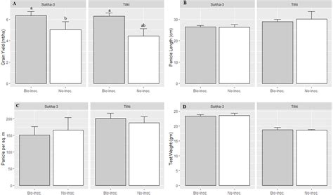 Effects Of Trichoderma Seedling Treatment With System Of Rice Intensification Management And