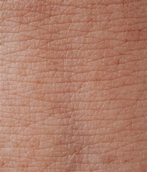 What Is Tewl And How To Prevent It By Sarah Skincare