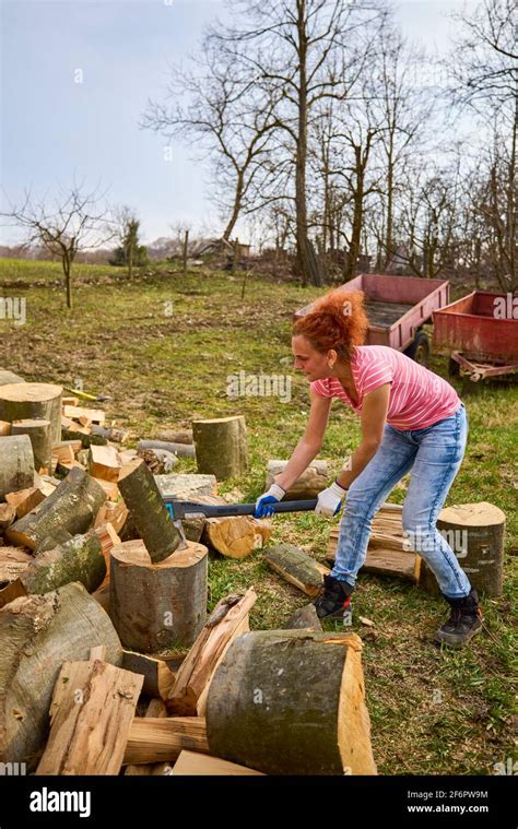 Strong Woman Splitting Beech Logs For Firewood Stock Photo Alamy