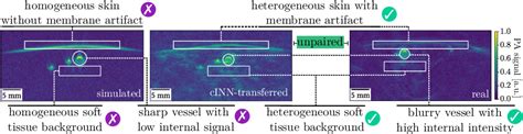 Unsupervised Domain Transfer With Conditional Invertible Neural Networks