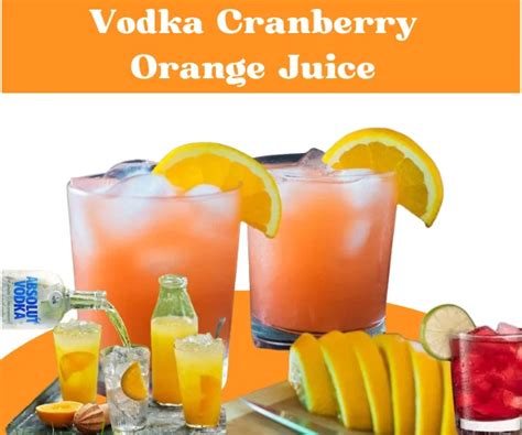 Refreshing Homemade Vodka Cranberry Orange Juice Cocktail