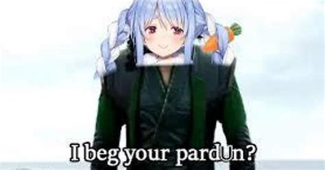 Pardun 2 Album On Imgur