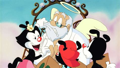 Rule After Sex Animaniacs Dot Warner Stefanescu Wakko Warner Yakko My XXX Hot Girl