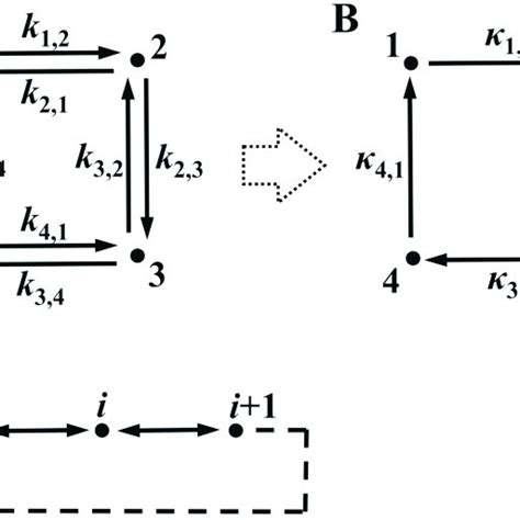 Kinetic Diagram Of A Single Cycle A A Four State Single Cycle Is Download Scientific Diagram