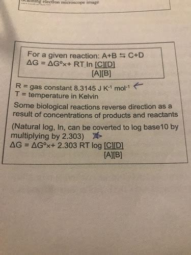 Biochemistry Test 1 Terminology Flashcards Quizlet