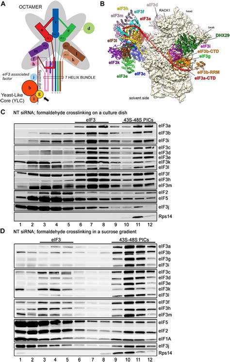 Comparison Of The Original On Dish Formaldehyde Cross Linking With Download Scientific