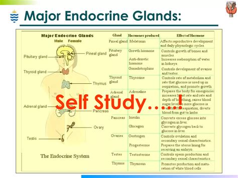 Pathology Of Thyroid And Endocrine Disorders Ppt