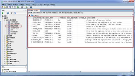Java程式教學甘仔店 Oracle Db Oracle Sqldeveloper工具基本使用用法教學之1