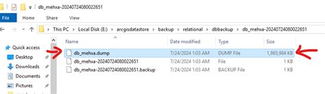 Arcgis Datastore Dump Files Esri Community
