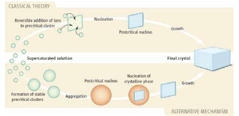 Crystallization After The Classical Theory Top With The Formation Of Download Scientific