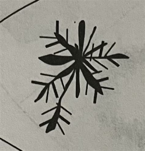 Lab Exam 2 Flashcards Quizlet