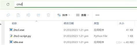 解决python安装包 Error Could Not Install Packages Due To An Oserror”错误 Csdn博客
