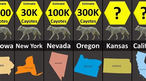 Coyote Population By Country 2024 Population By Country 2024 Xaky