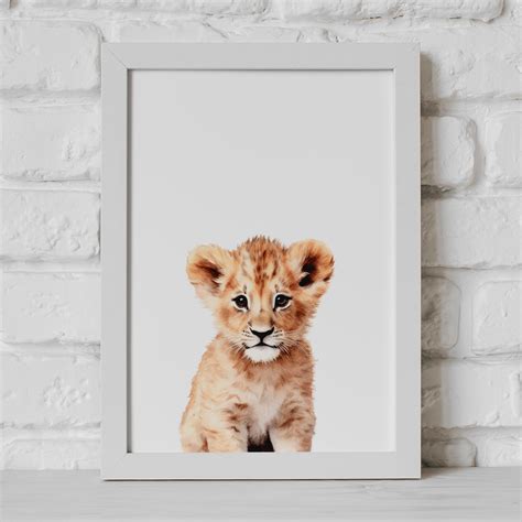 Poster Beba Lav Posterionica