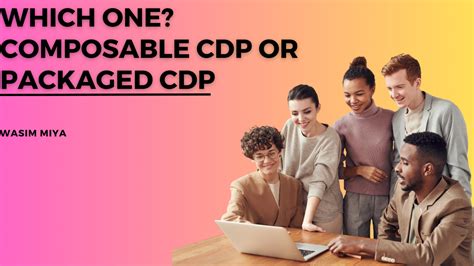 Finding The Perfect Fit Understanding Composable Cdps And Packaged Cdps Solutions