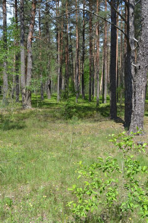 Карта особо охраняемых природных территорий Республики Беларусь Министерство природных