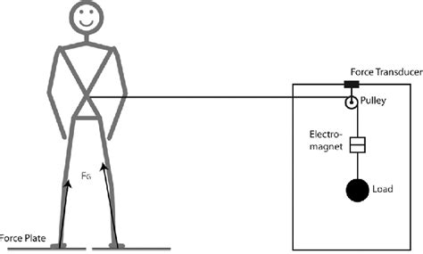 A Shows A Recording Of A Backward Fall After Release From A Forward