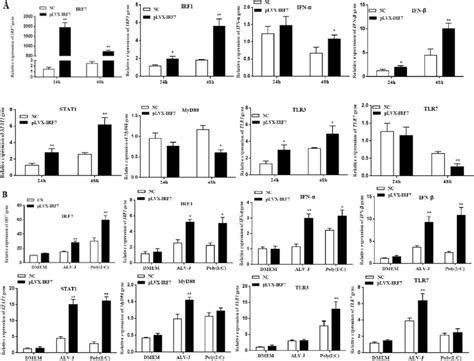 Effect Of Overexpression Of Irf7 On Related Genes In Innate Immune Download Scientific Diagram