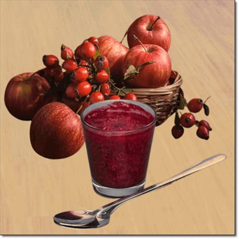 로즈힙 퓨레 효능 및 먹는 법 엘라스틴과 잘 어울리는 이유