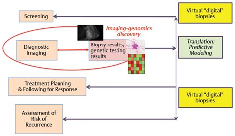 13 Future Applications Radiomics And Deep Learning On Breast Mri