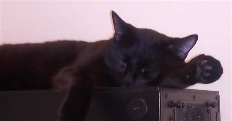 Sleepy Void Album On Imgur