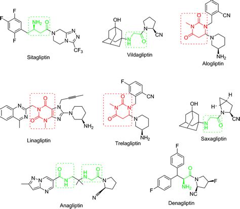Structural Formulae Of Some Fda Approved Dpp 4 Inhibitors Download