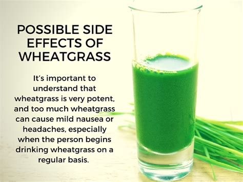 Top 14 Benefits Of Wheatgrass Juice