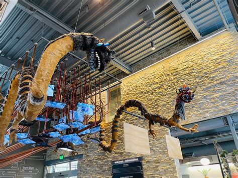 The Absolute Best Museums In Denver Updated 2025