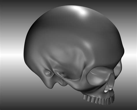 First Tries At Sub D Modeling Finished Projects Blender Artists