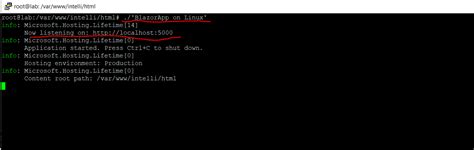 Running Blazor Server Web App On Linux And Apache Running Blazor Server Web App On Linux And Apache