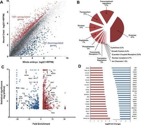 Transcriptome Analysis Reveals Novel Players In The Cranial Neural