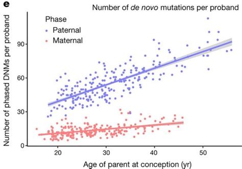 Lecture 16 Chapter 7 Mutation Flashcards Quizlet