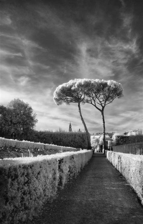 Marilynn Boboli Gardens Florence Facebook