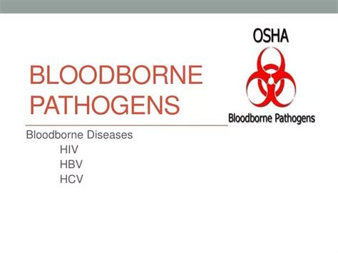 Ppt Bloodborne Pathogens Powerpoint Presentation Free Download Id
